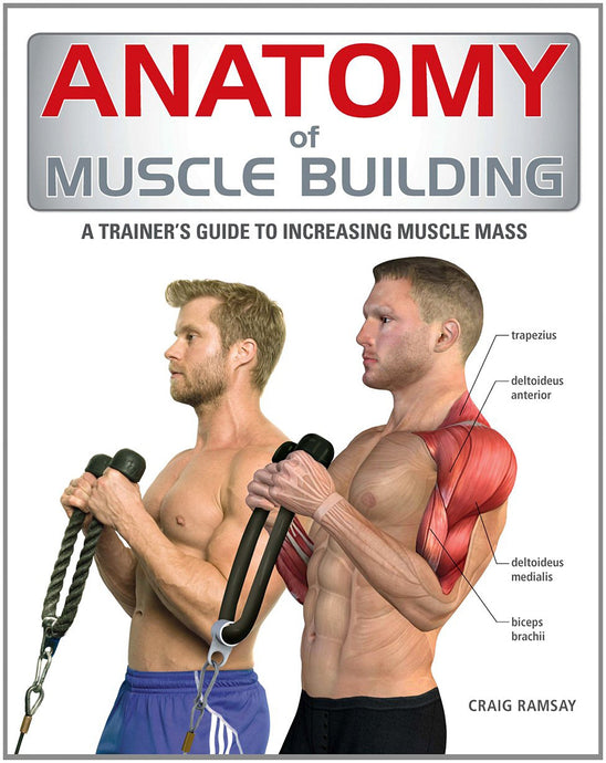 Anatomy of Muscle Building: A Trainer's Guide to Increasing Muscle Mass ...