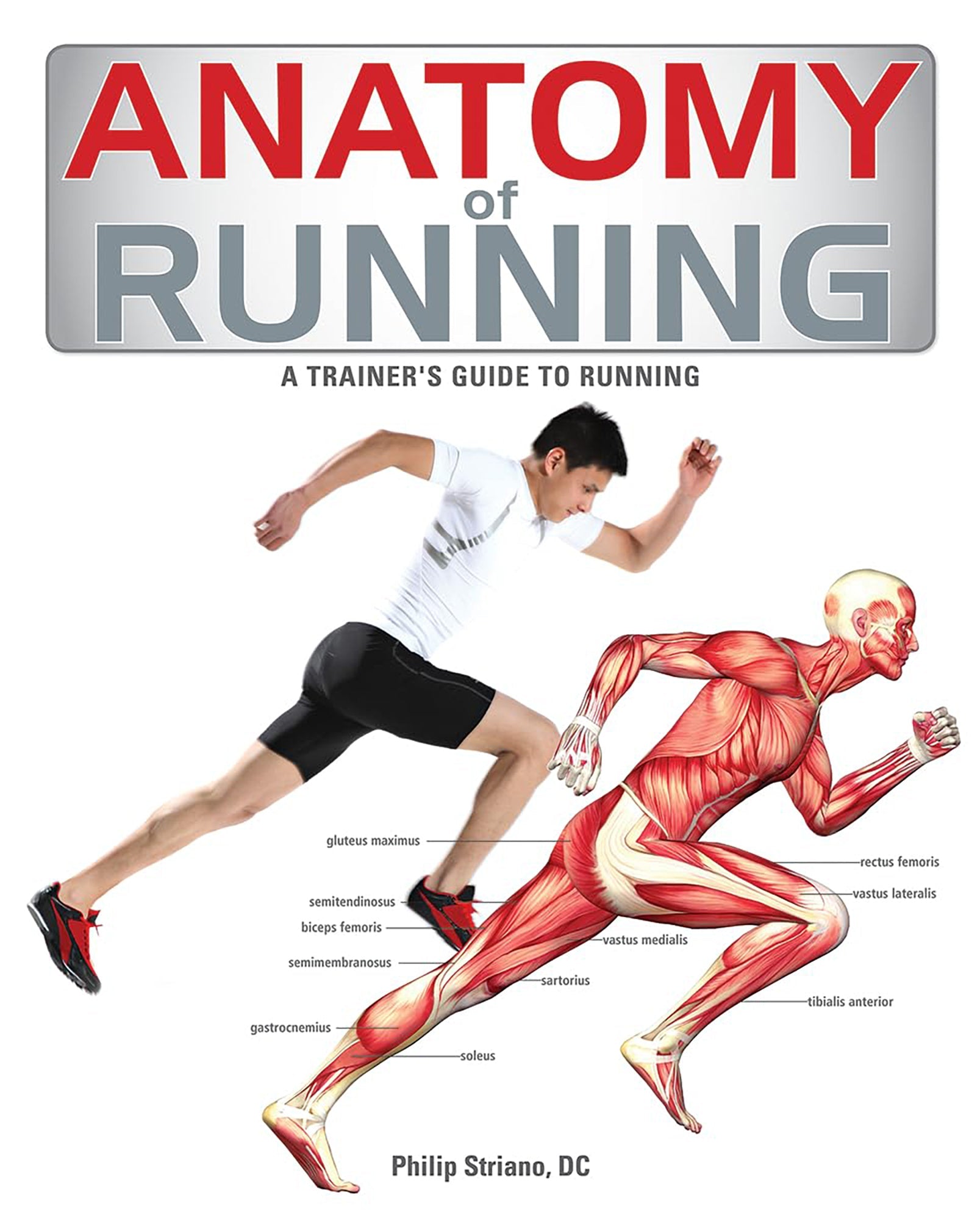 Anatomy of Running: A Comprehensive Trainer's Guide to Running