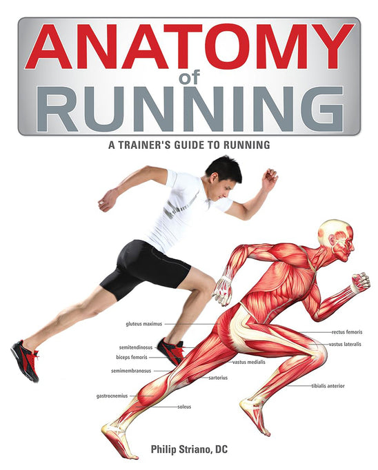 Anatomy of Running: A Comprehensive Trainer's Guide to Running